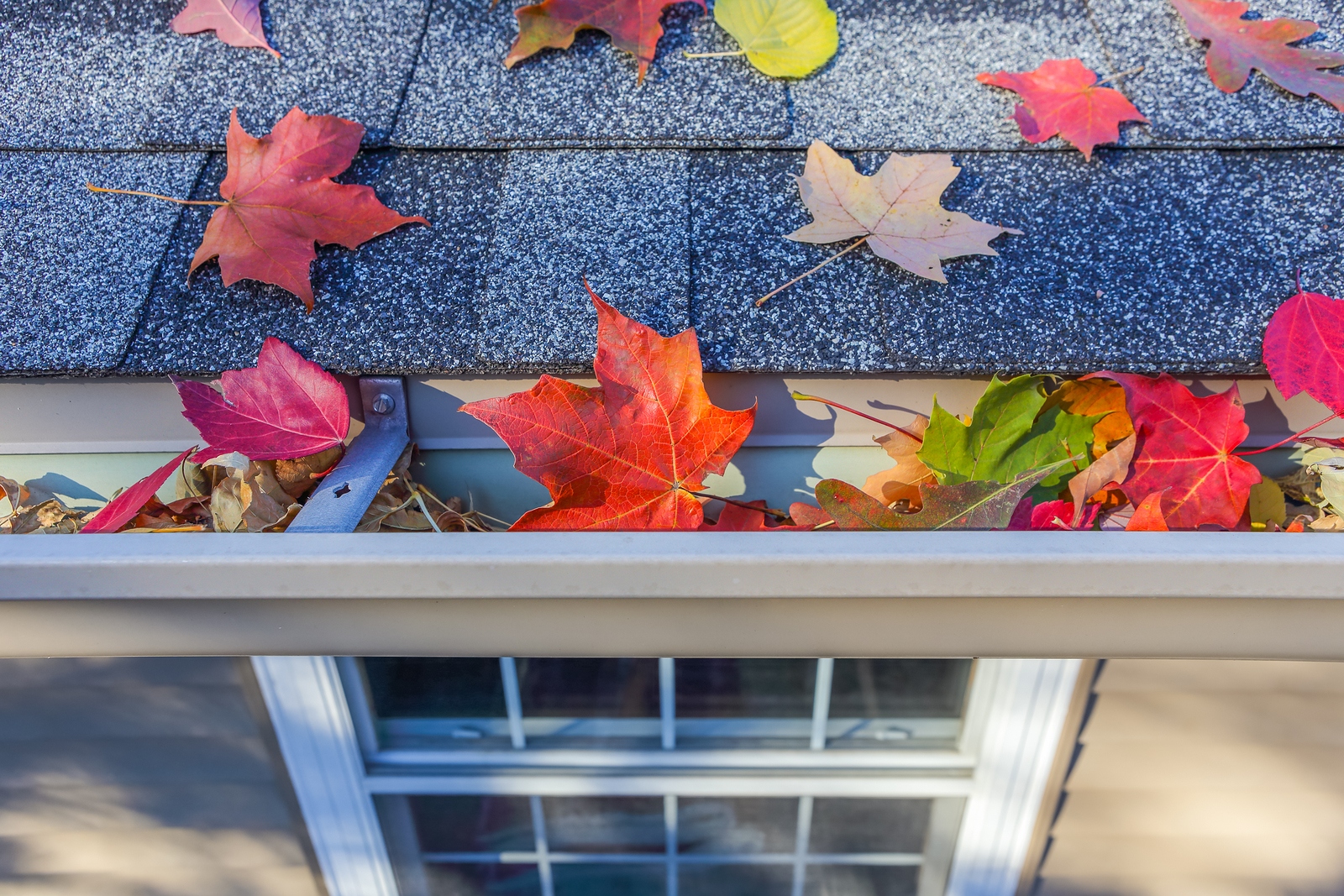 Rain gutter full of autumn leaves – Storm Operations Of America